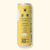Sly™ BOOST Berry - (12oz) 8-12-24 Pack – Drink on the SLY™